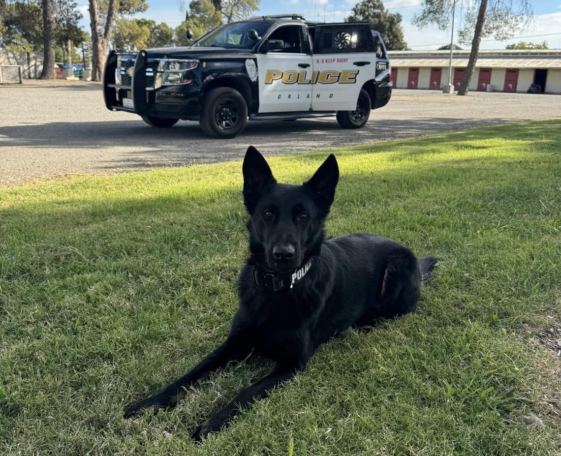 This Week with The Orland Police Department (May 5–8, 2025)