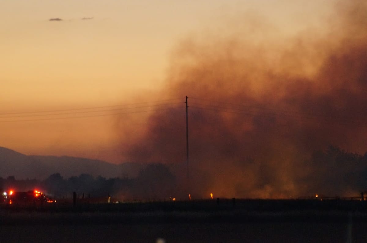 Power blip, bird strike, and a brush fire: Orland outage traced to ...